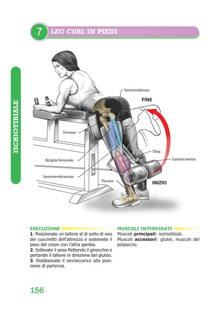 Pagine da esercizi per la schiena.pdf