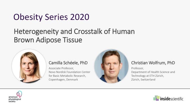 Adipose Tissue Histology | PPTX