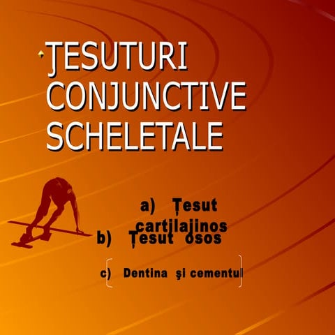 Scheletalpractic | PPT