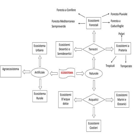 Schema | PDF | Geography | Science