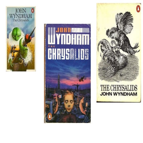 Emil Pulido on Schema for The Chrysalids | PPT | Arms & Ammunition ...