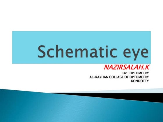 Schematic eye | PPTX | 3-D Graphics | Computer Software and Applications