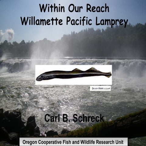Lamprey Research Update - Schreck, et al. | PPT