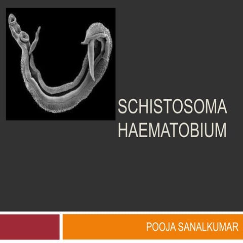 Endometriosis | PPTX