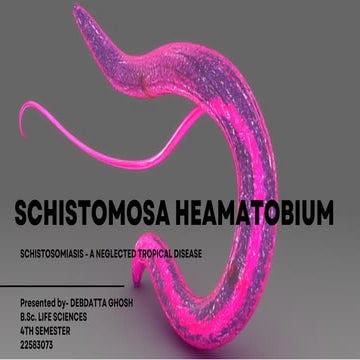 SCHISTOSOMA HEAMATOBIUM life cycle .pdf