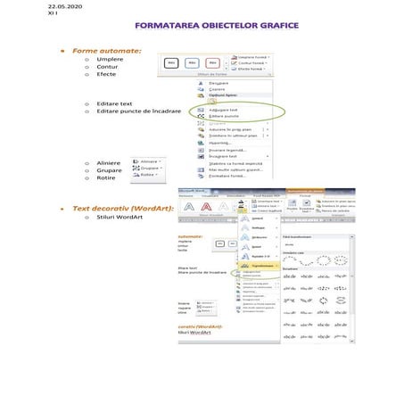 Formatarea obiectelor grafice - WORD 2010