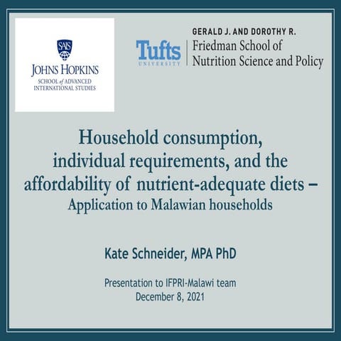 Household Consumption, Individual Requirements and the affordability of ...