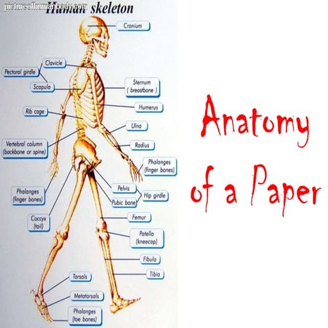 Anatomy of a Paper | PPTX | Publishing Industry | Industries