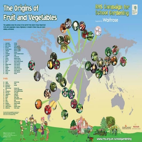 The Origins of Fruit and Vegetables ~ Teacher Guide ~ United Kingdom ...