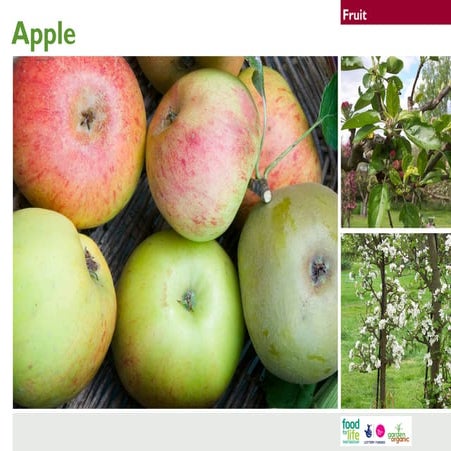 Fruit Growing Instructions ~ Teacher Guide, Organic Gardening | PDF ...