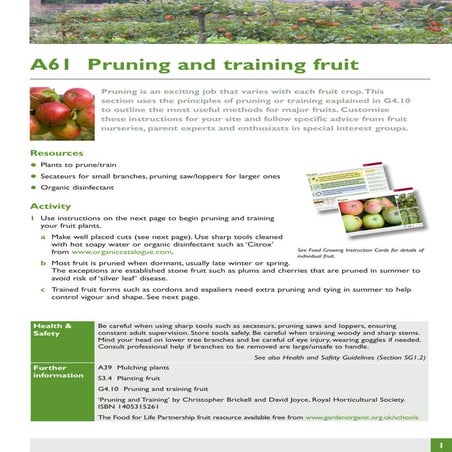 Taining and pruning in horticultural crops | PPTX