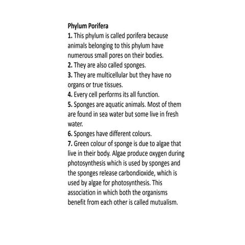 Phylum porifera | PPTX