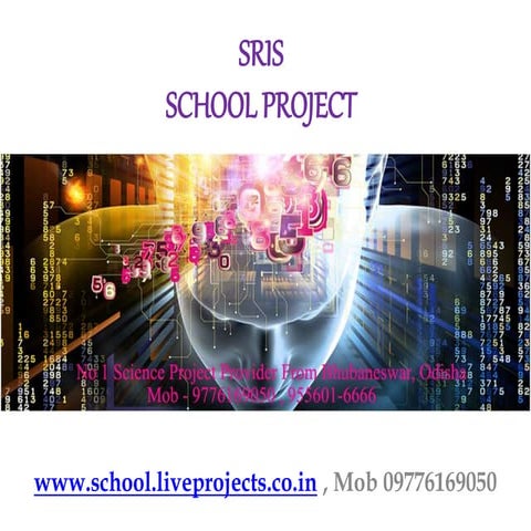 SCHOOL PROJECT | PPT