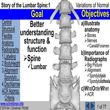 Story of the Lumbar Spine:1 Normal Variations | PPT