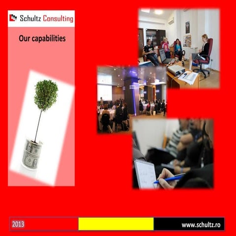 Schultz Consulting - Our capabilities | PPT