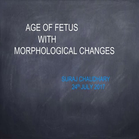 age of fetus with morphological features | PPTX