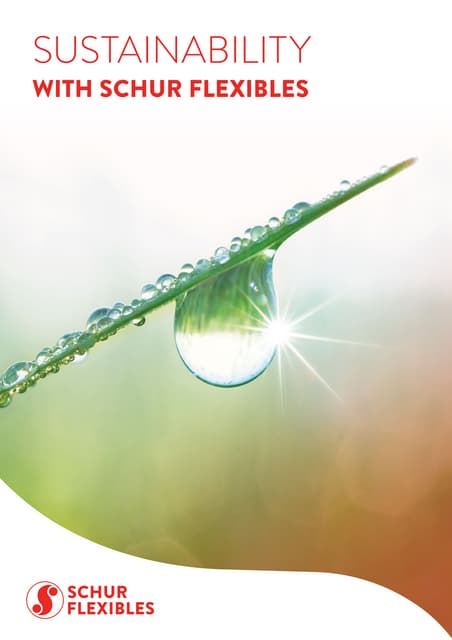 Shish Industries Limited | PDF