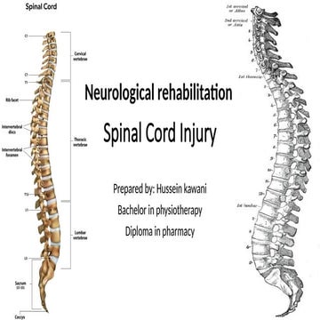 spinal cord injury rehabilitation physiotherapy.pptx