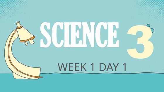Science Grade 3 1st Quarter Week 1 Lesson 1 | PPTX | Science