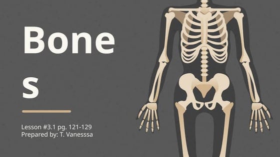 Sponsorship proposal | PDF