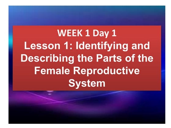 Female Reproductive System Lesson of Grade 9 in Biology | PPT