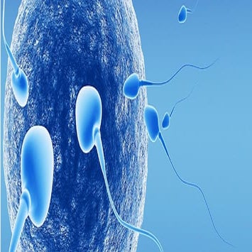 science-grade10-quarter3-REPRODUCTIVE-ppt.ppt