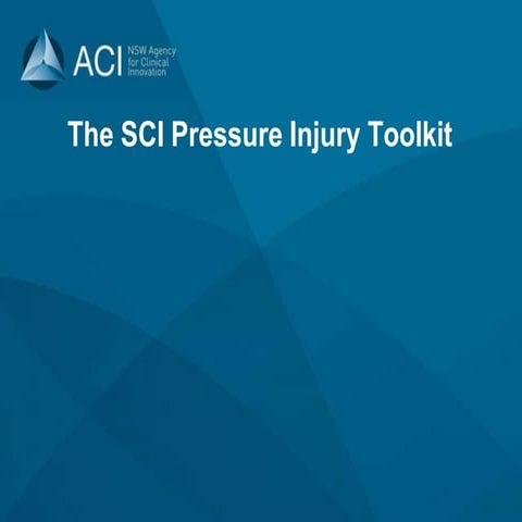 SCI-Pressure-Injury-Toolkit_L-Katte.pptx