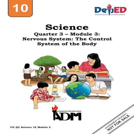 Detailed Lesson Plan: The Nervous System | PDF