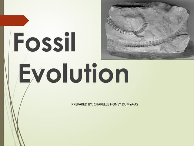 Evolution and adaptation | ODP