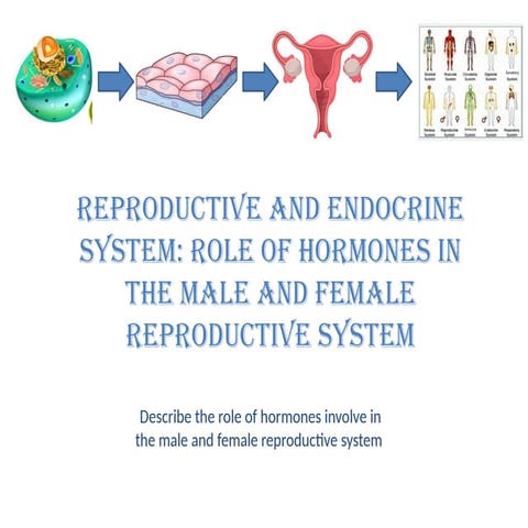 Grade 10 Quarter 3: The Reproductive System | PPTX