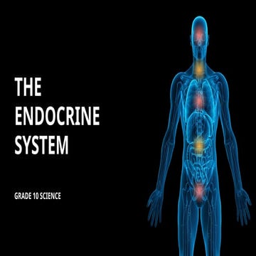 The endocrine system grade 10 quarter 3 science | PPTX