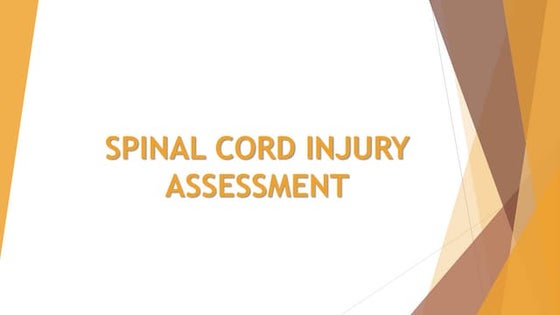 Spinal cord injury assessment | PPTX | Death, Injury, or Military ...
