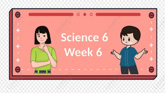 THE GRADE- 6 COT- SOLAR SYSTEM LESSON PLAN | DOCX