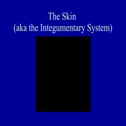skin anatomy and Physiology with functions.pptx