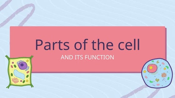 Plant and Animal Cell PowerPoint present | PPT