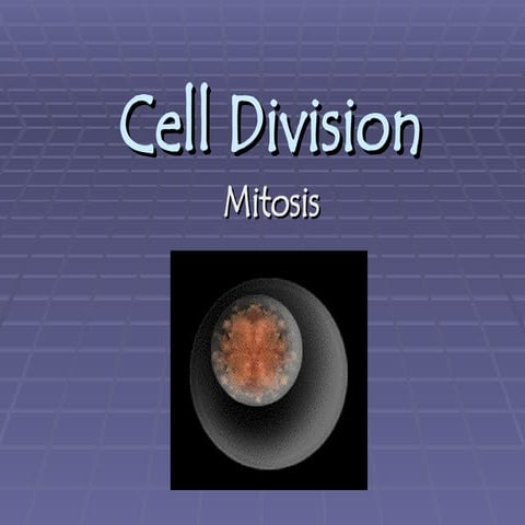 grade 7 science 7 second quarter cell division | PPT