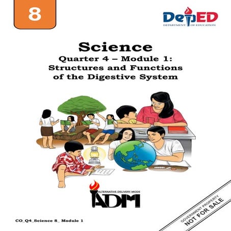Detailed Lesson plan Sample Digestive Process | DOCX