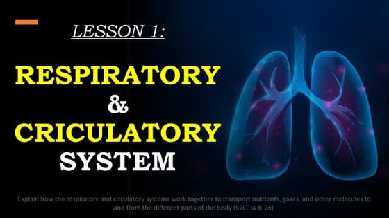 The Human Respiratory system for Grade 5 | PPTX