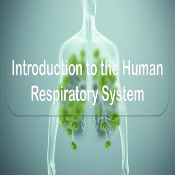 Science Grade 9 Lesson: Introduction to human respiratory system | PPTX