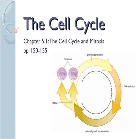 Sci 9 Lesson 1 Feb 21 - Ch 5.1 The Cell Cycle | PPT | Biological Sciences | Science
