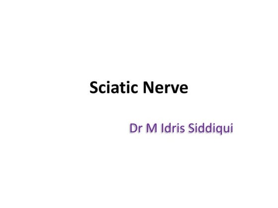 Anatomy of posterior tibial nerve by im | PPT | Death, Injury, or ...