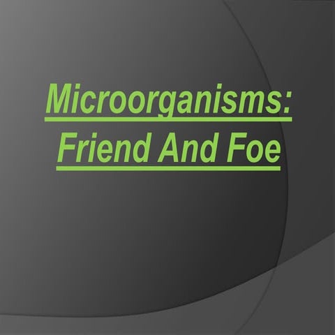 Microorganisms Pptx 4752