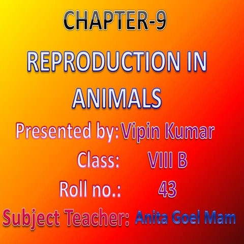 Sexual Reproduction in Animals | PPTX