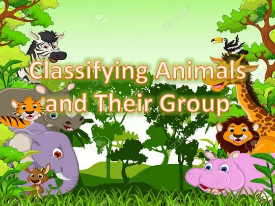 What animals need | PPTX