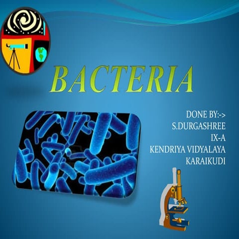 Bacteria Class 9 Science | PPTX