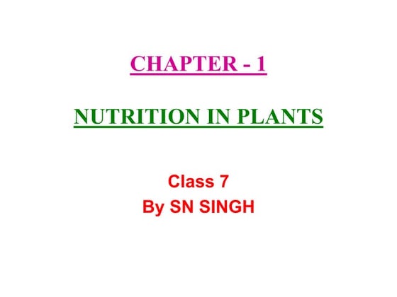 Ncert Solutions for Class 7 Science | PDF | Gardening | Home & Garden