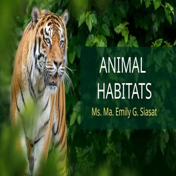 SCIENCE-3-LESSON-HABITATS-OF-ANIMALS.pptx
