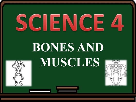 Grade 6 PPT_Science_Q2_W1_Day 1.pptx | Bone and Joint Conditions ...