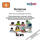 COT Lesson Plan in Science 6 Q2 W6 .docx