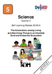 COT Lesson Plan in Science 6 Q2 W6 .docx